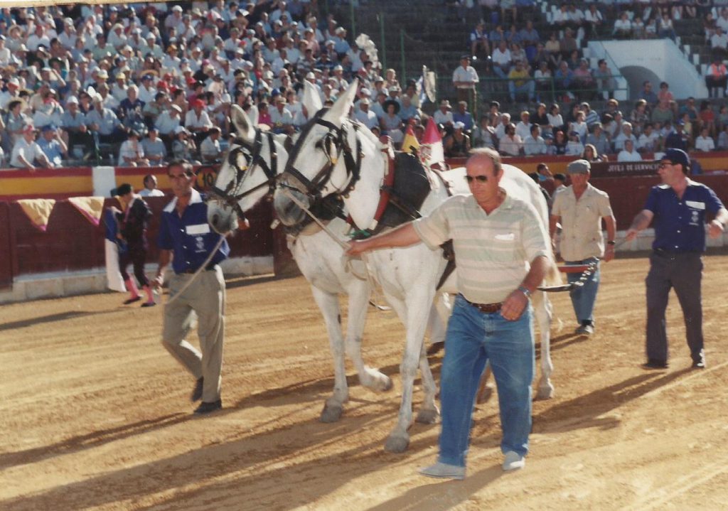 SOBRE NUESTRAS MULAS